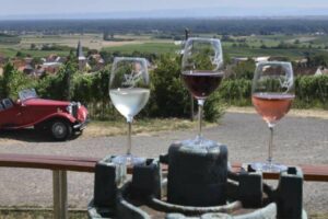 Weingüter - Gemeinde Schweigen-Rechtenbach